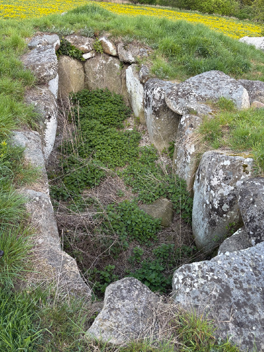 Gravfærd :: Forn Siðr